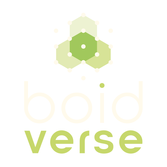 Boidverse - The metaverse that makes a difference